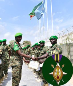 The Damu Medal - Ministry of Defence and Veterans Affairs